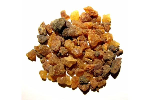 กำยาน – สมุนไพรดอทคอม